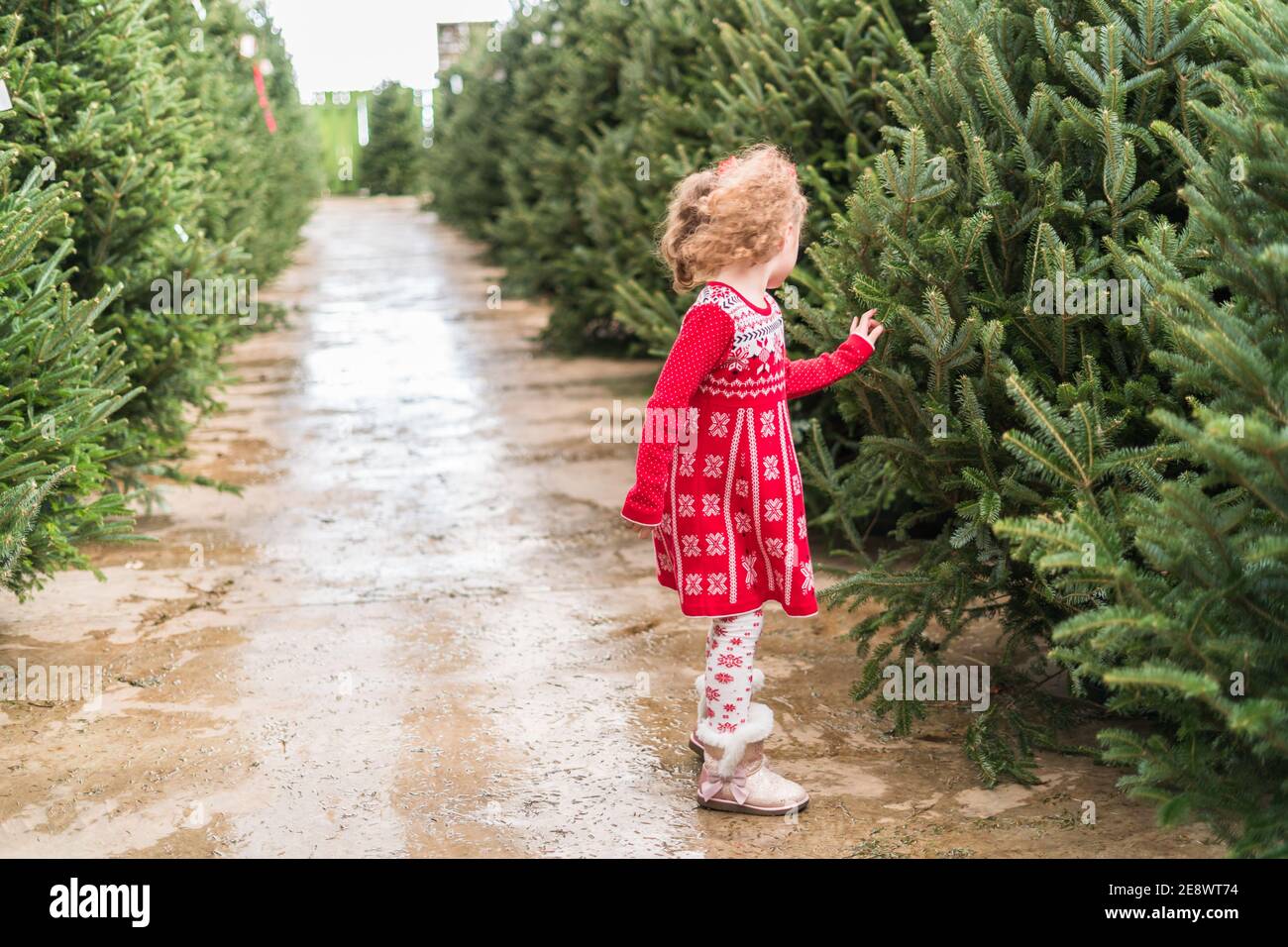 Little girl in red dress at the Christmas tree farm Stock Photo - Alamy