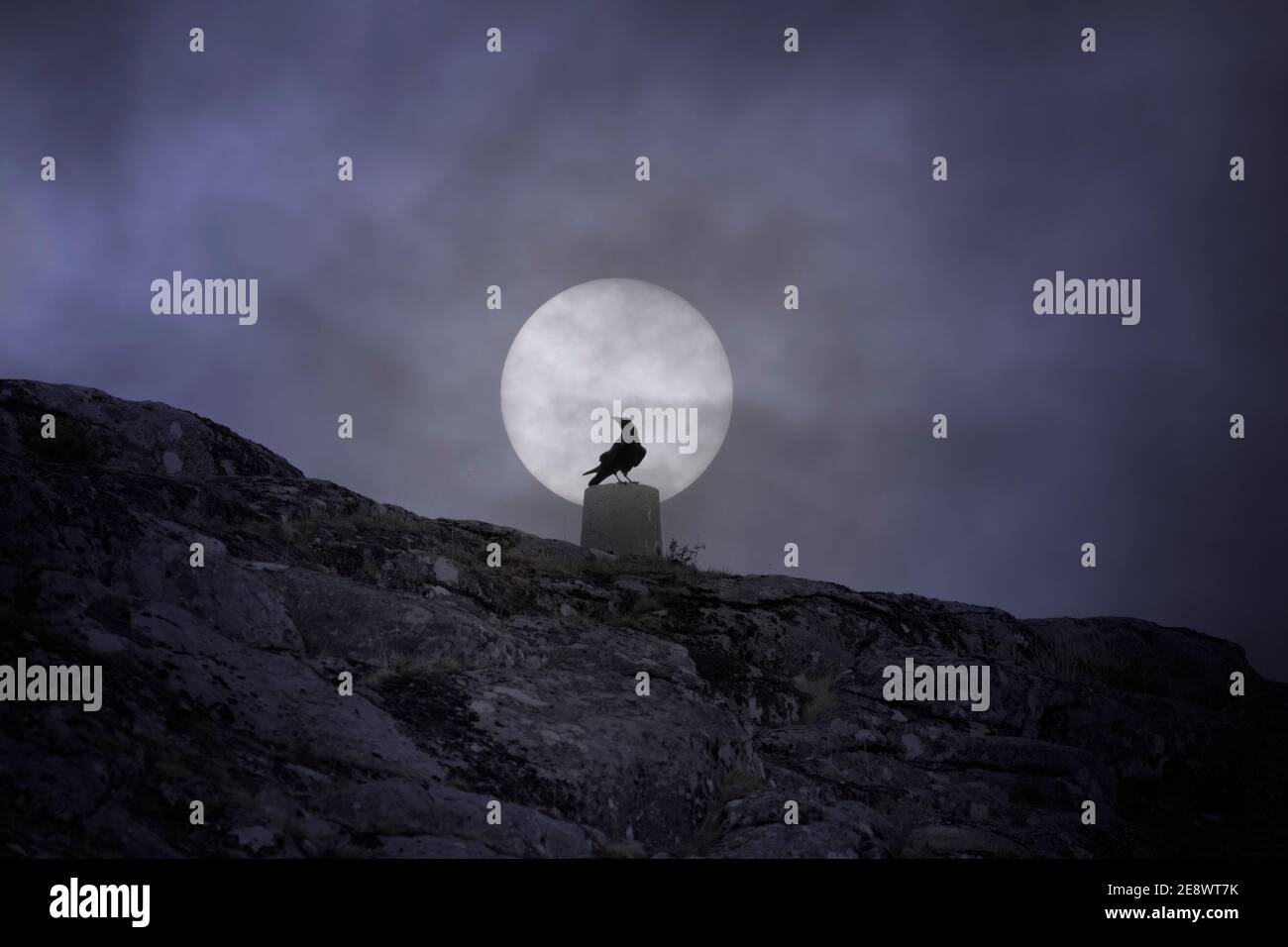 Crow over a geodesic mark against an overcast full moon sky Stock Photo ...