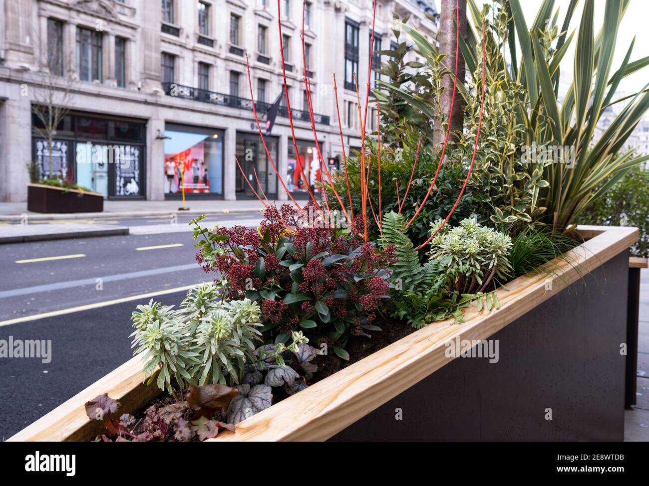 A planter containing an interesting variety of colourful plants on ...