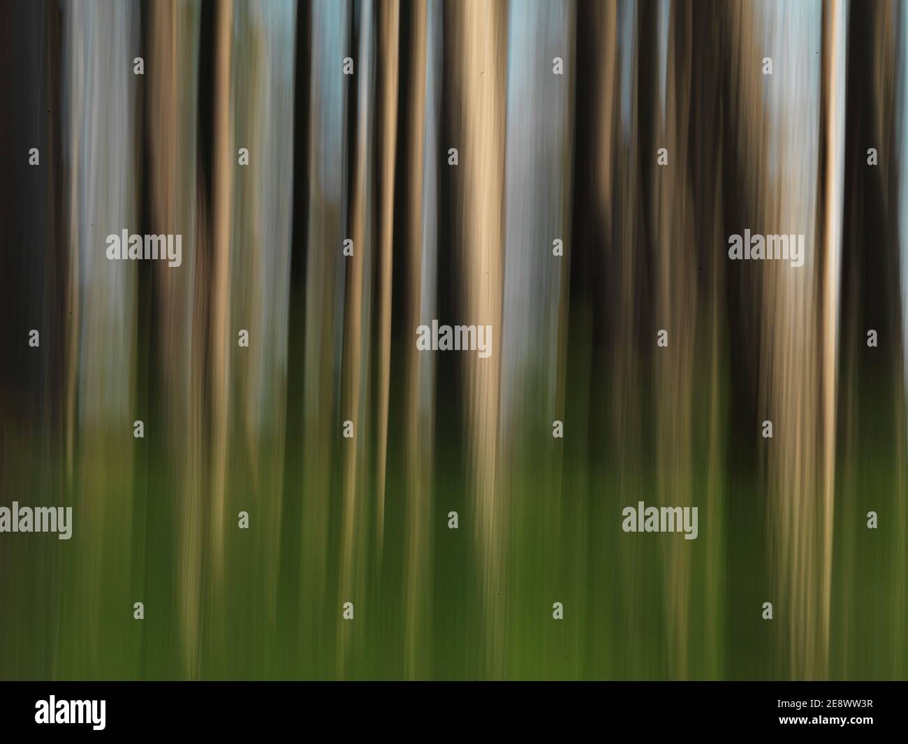 Abstract trees hi-res stock photography and images - Alamy