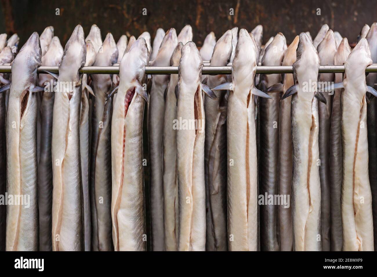 Smoked eel hi-res stock photography and images - Alamy