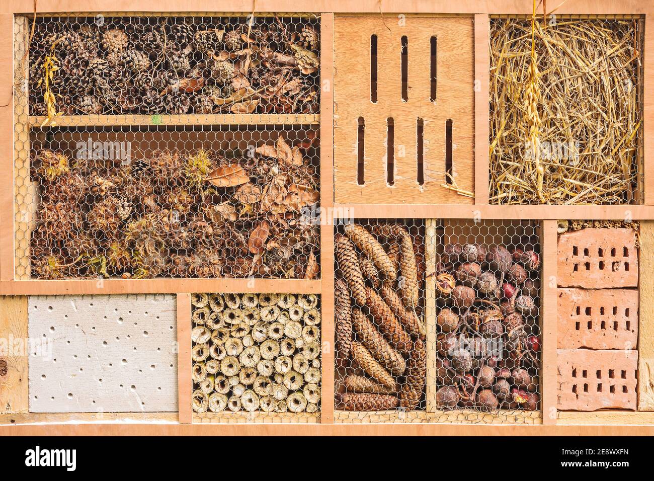 Insect shelter with shelter opportunities for different insects Stock ...