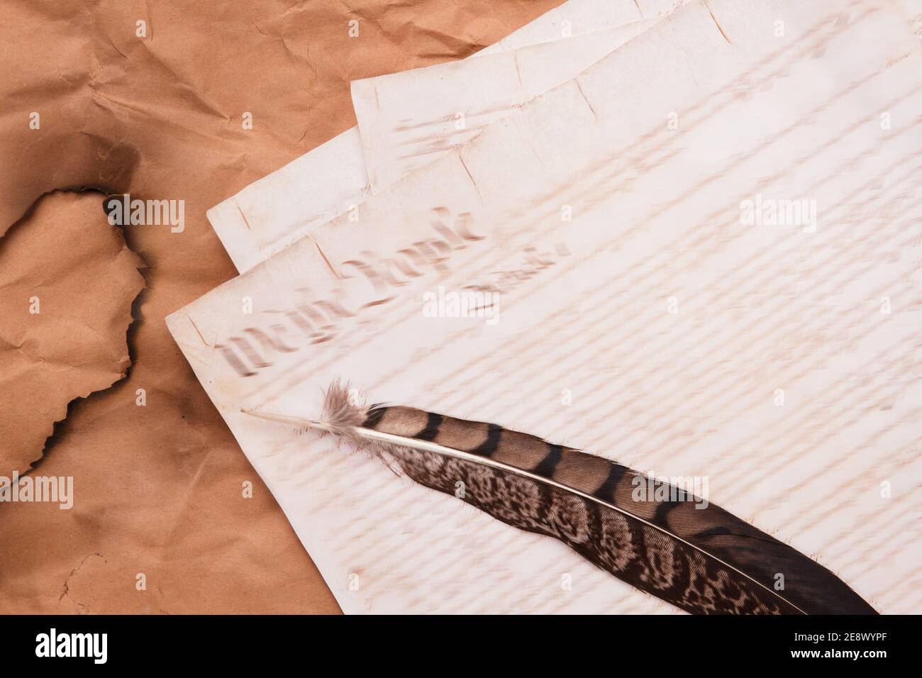 Old historical script writing and quill feather Stock Photo - Alamy