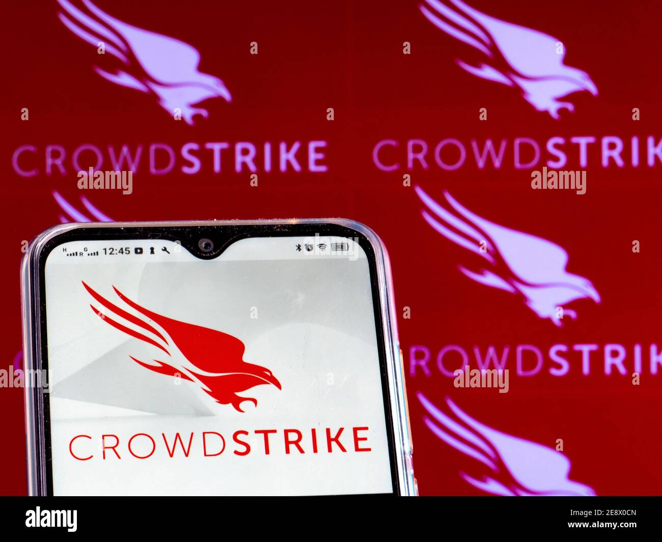 In this photo illustration a CrowdStrike Holdings, Inc. logo is seen ...