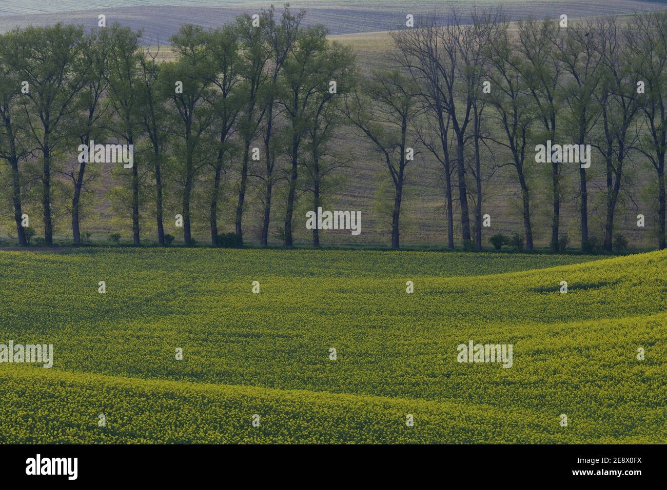 Moravia Tuscany Landscape High Resolution Stock Photography and Images ...