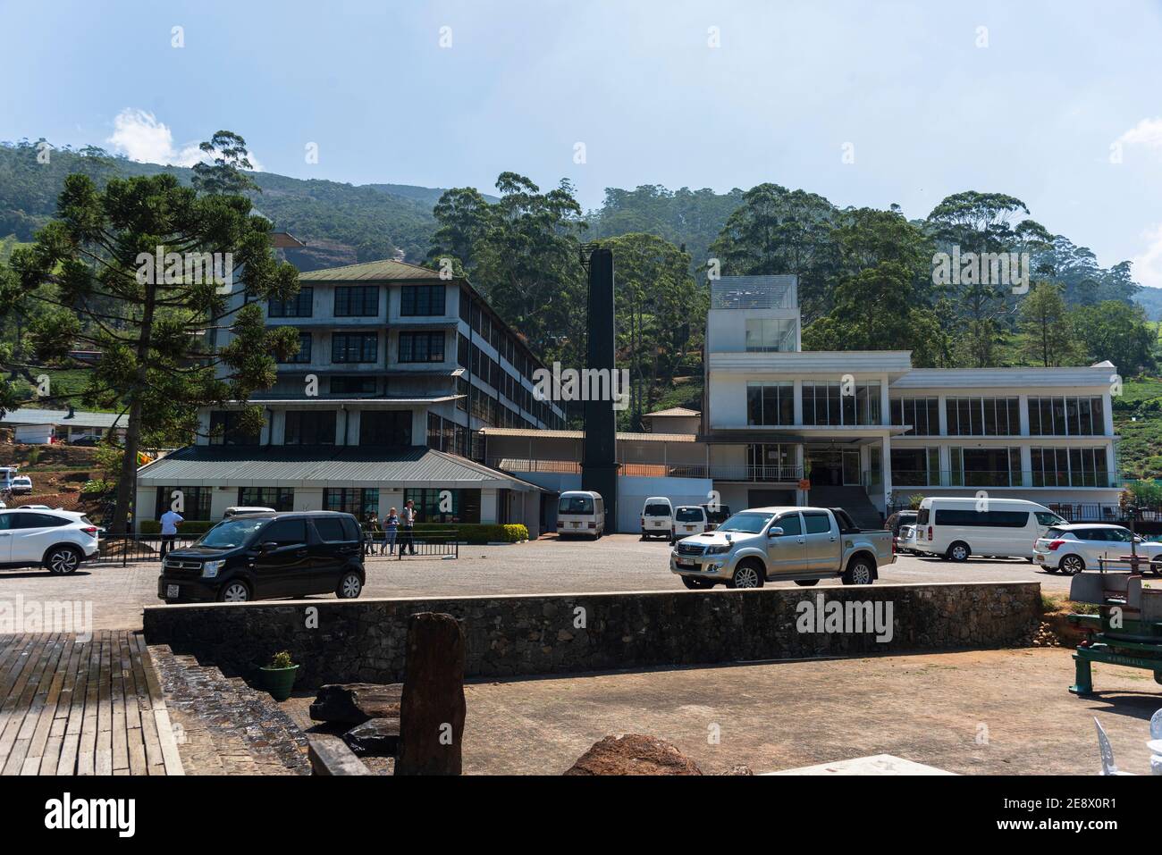 Bulding of the damro tea factory and lounge and tea plantation, Sri ...