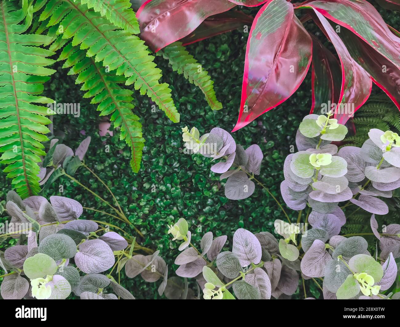 Many beautiful artificial green plant decoration on the wall and make ...