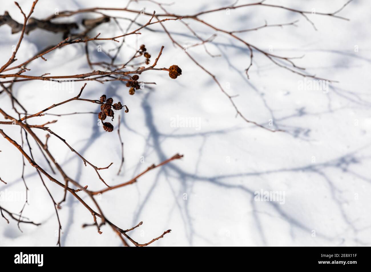 Shadow scene view silhouette hi-res stock photography and images - Alamy