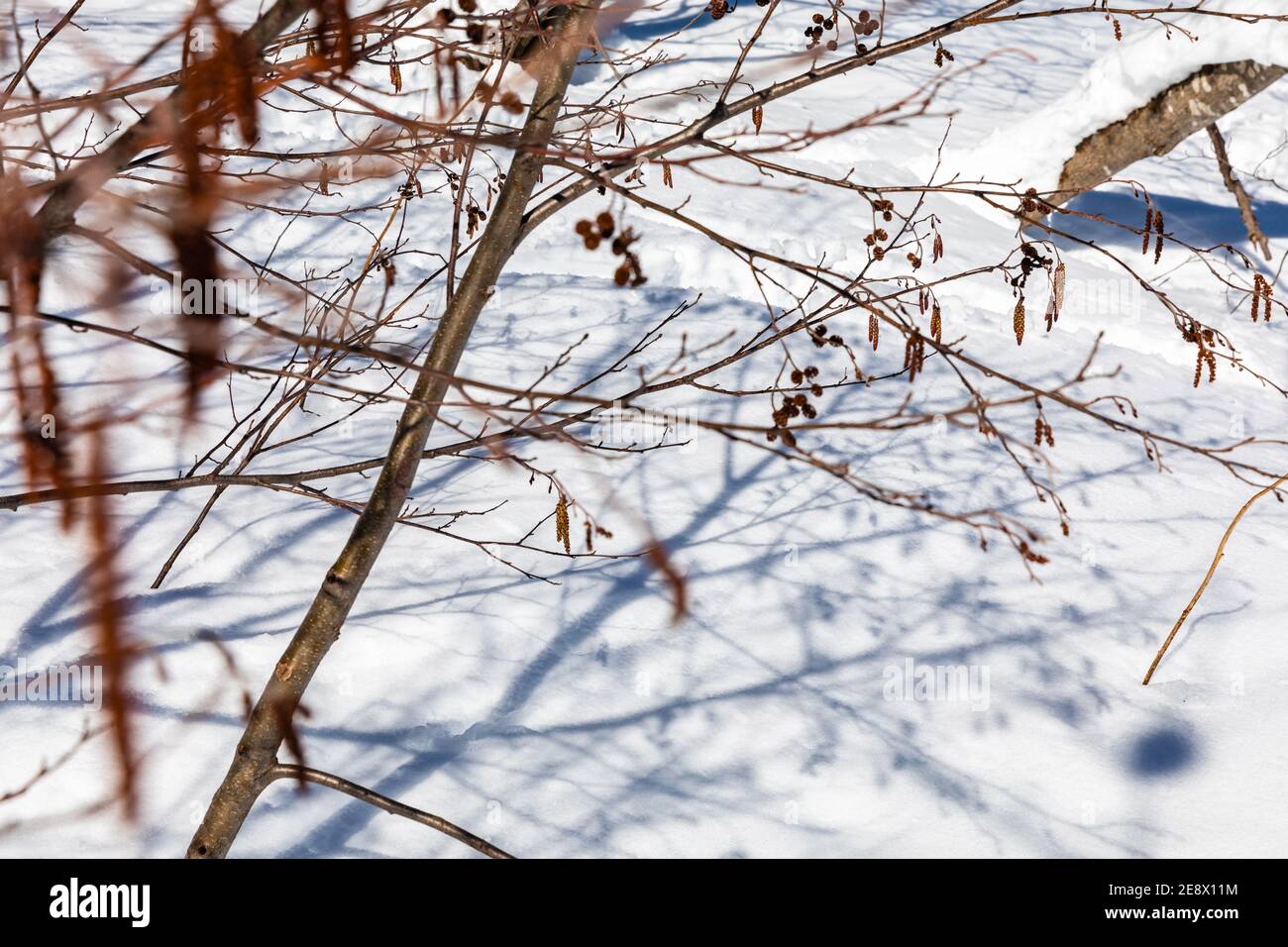 Shadow scene view silhouette hi-res stock photography and images - Alamy