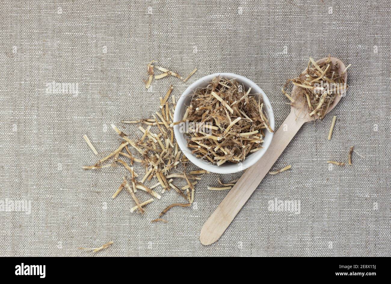 Couch-grass herbal roots in a bowl flat from above on linen textile ...