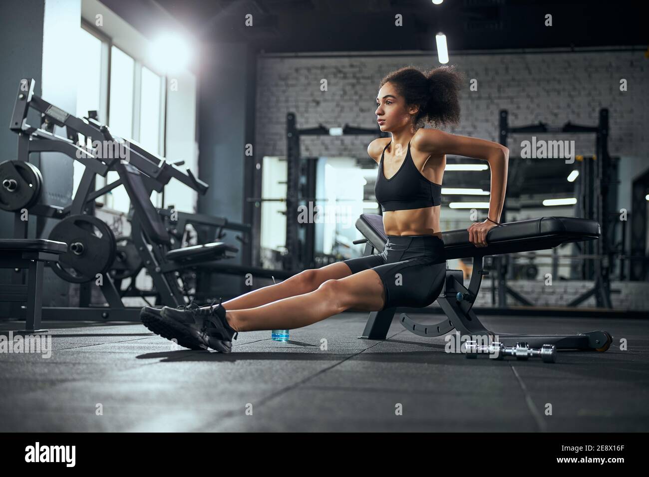 Concentrated international female doing workouts for arms Stock Photo ...