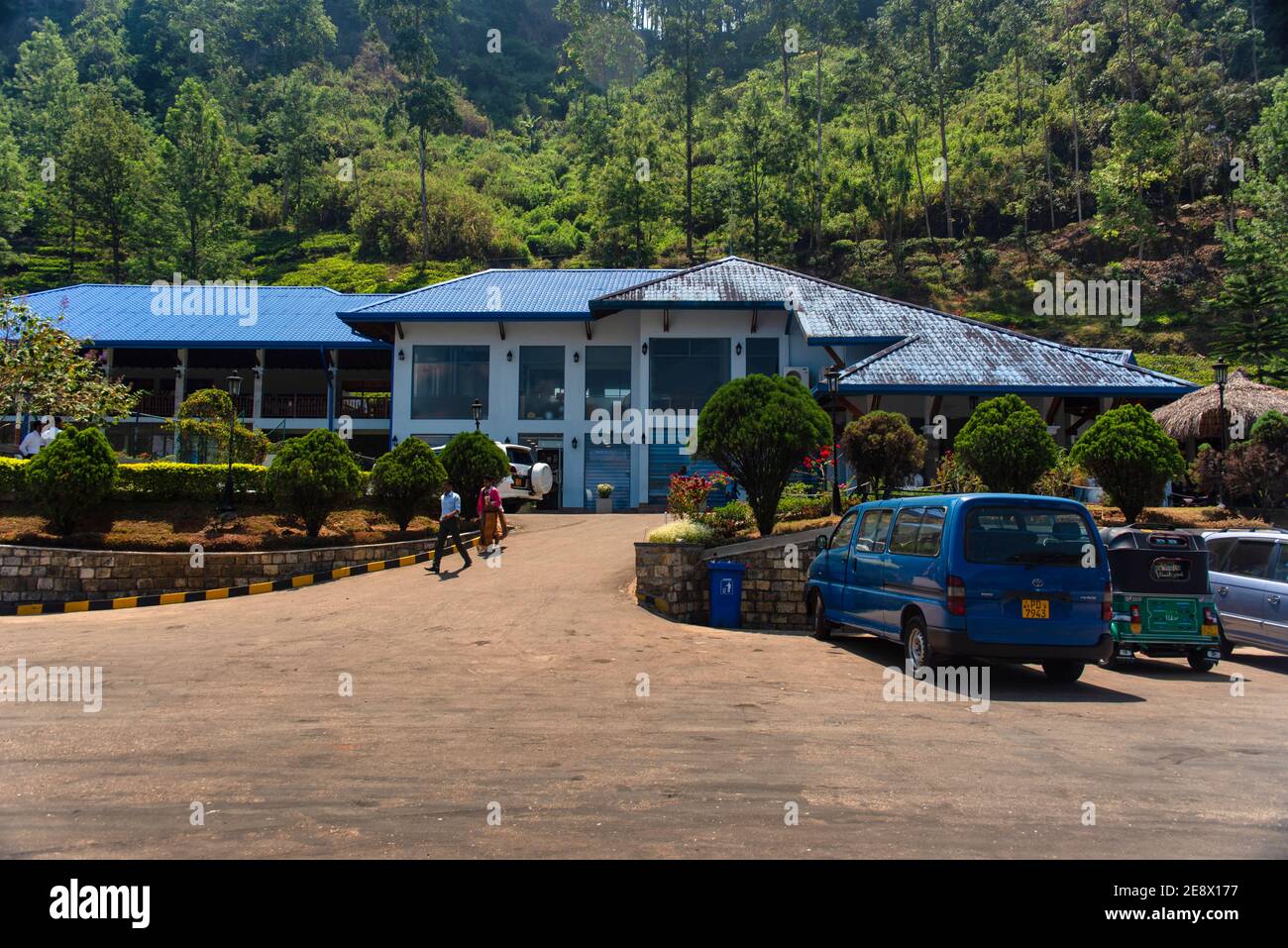 Bulding of the damro tea factory and lounge and tea plantation, Sri ...
