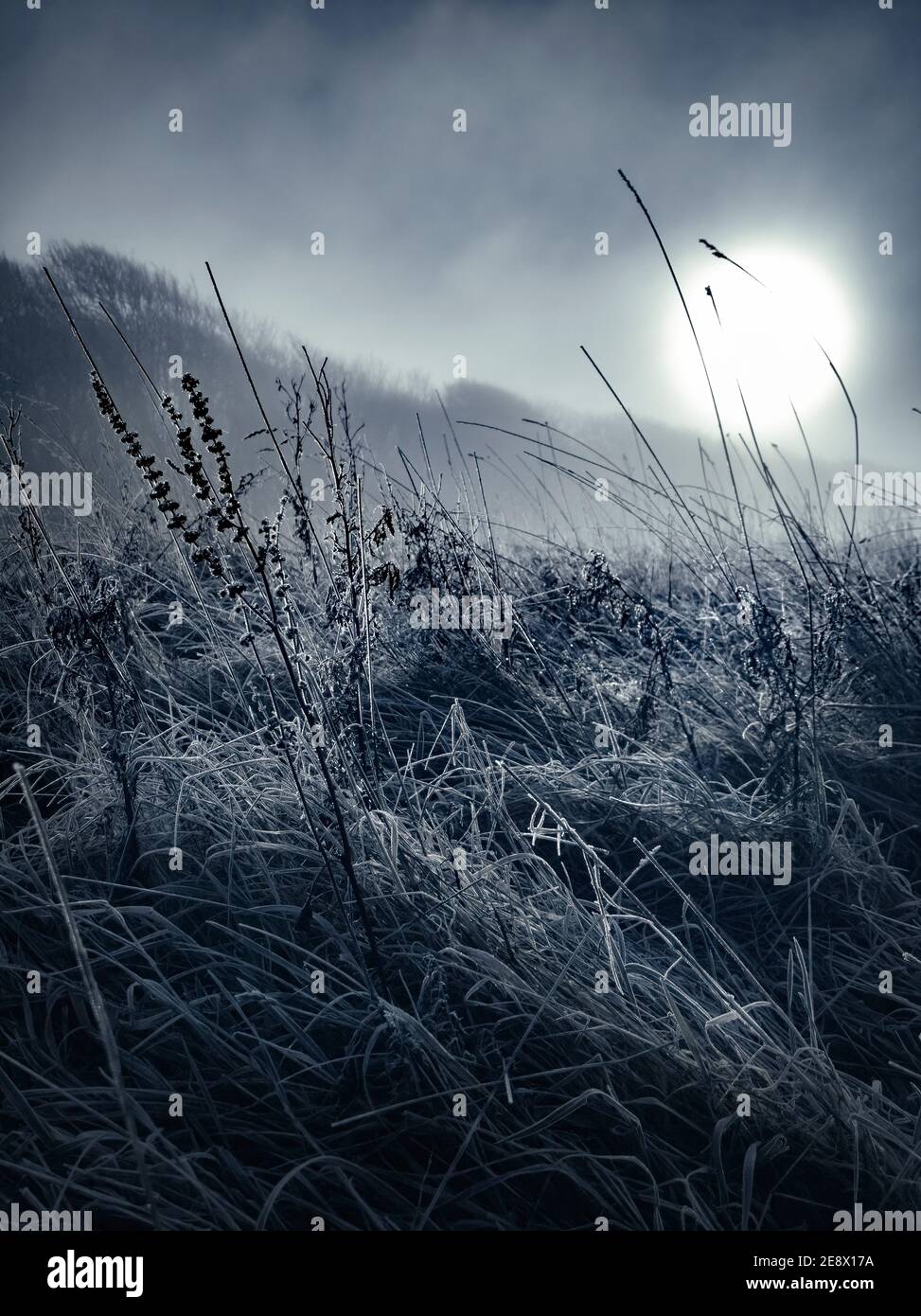 Sussex mist landscape hi-res stock photography and images - Alamy