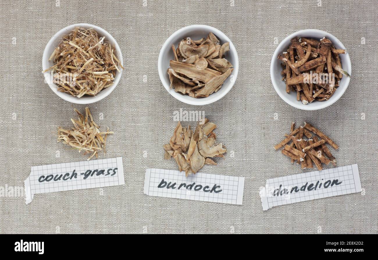 Dried burdock root hi-res stock photography and images - Alamy