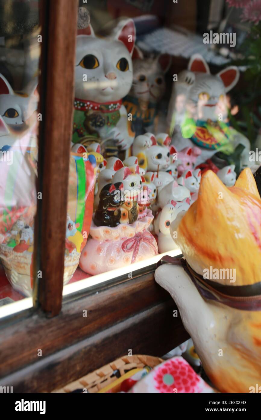 Maneki neko cat in kyoto Stock Photo - Alamy