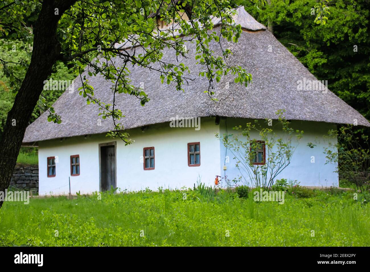 A white clay hut with a straw roof and a tree in the foreground. A ...