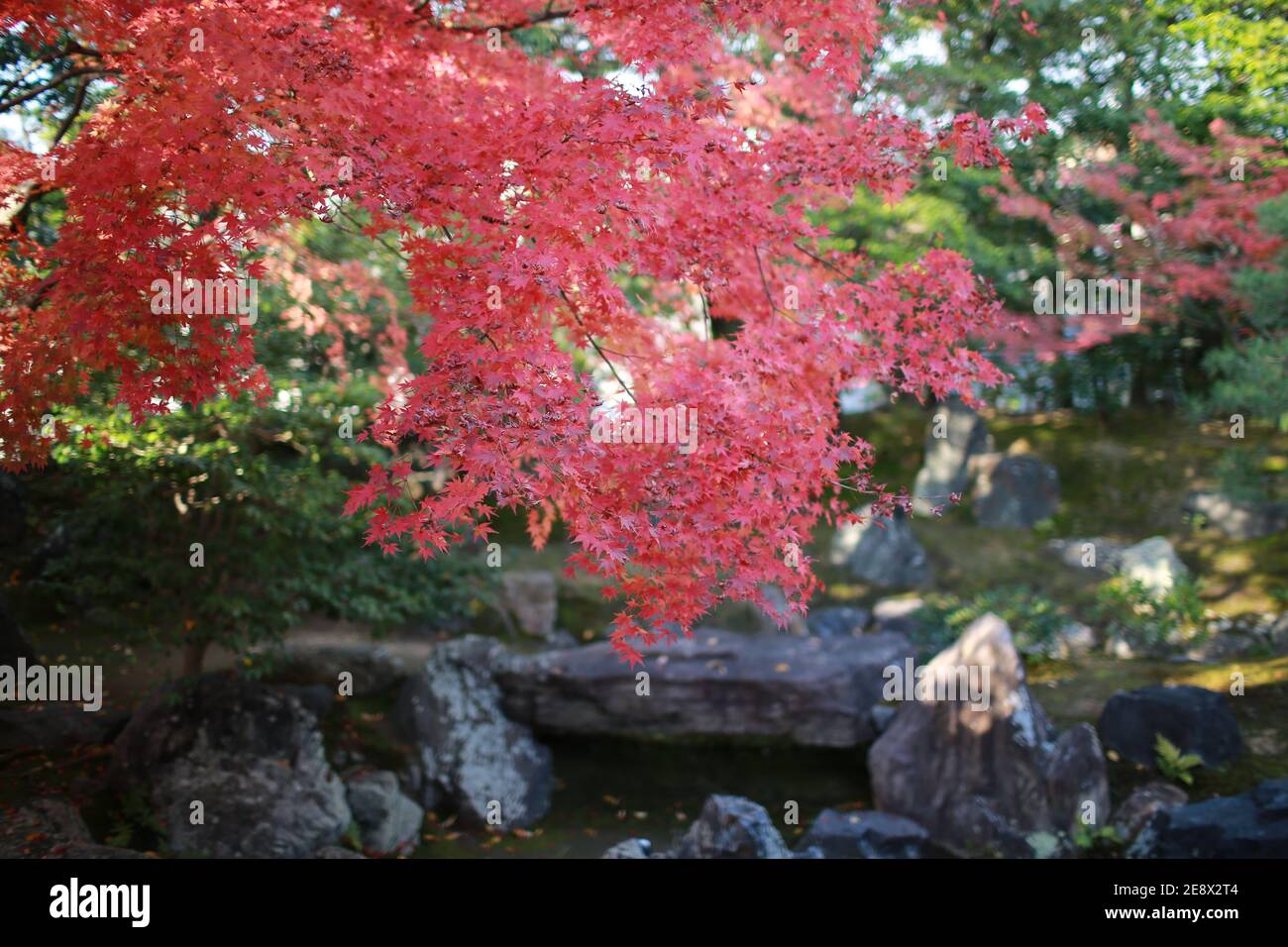 Traditional garden house hue hi-res stock photography and images - Alamy