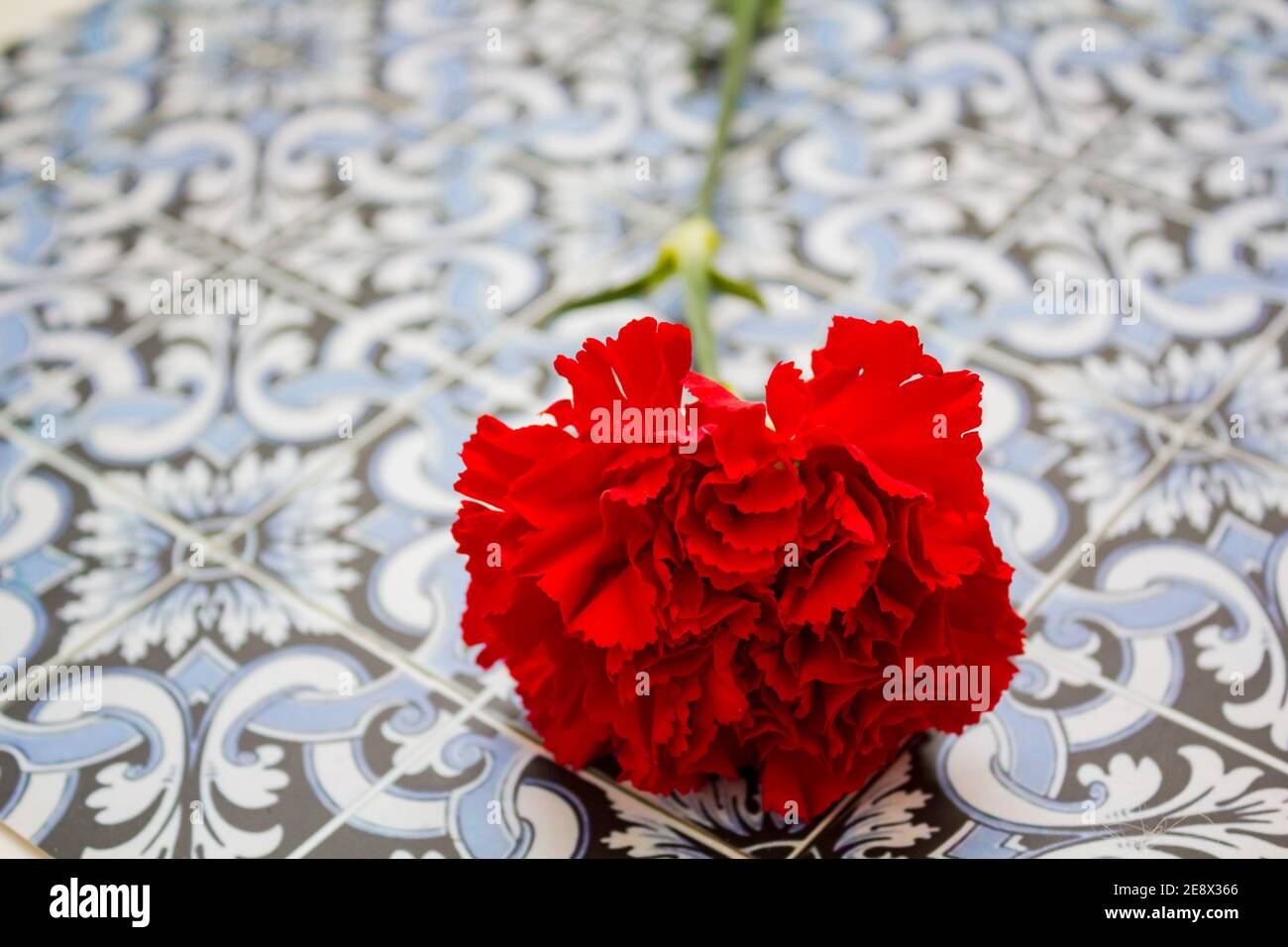 Carnation revolution portugal 1974 hi-res stock photography and images ...
