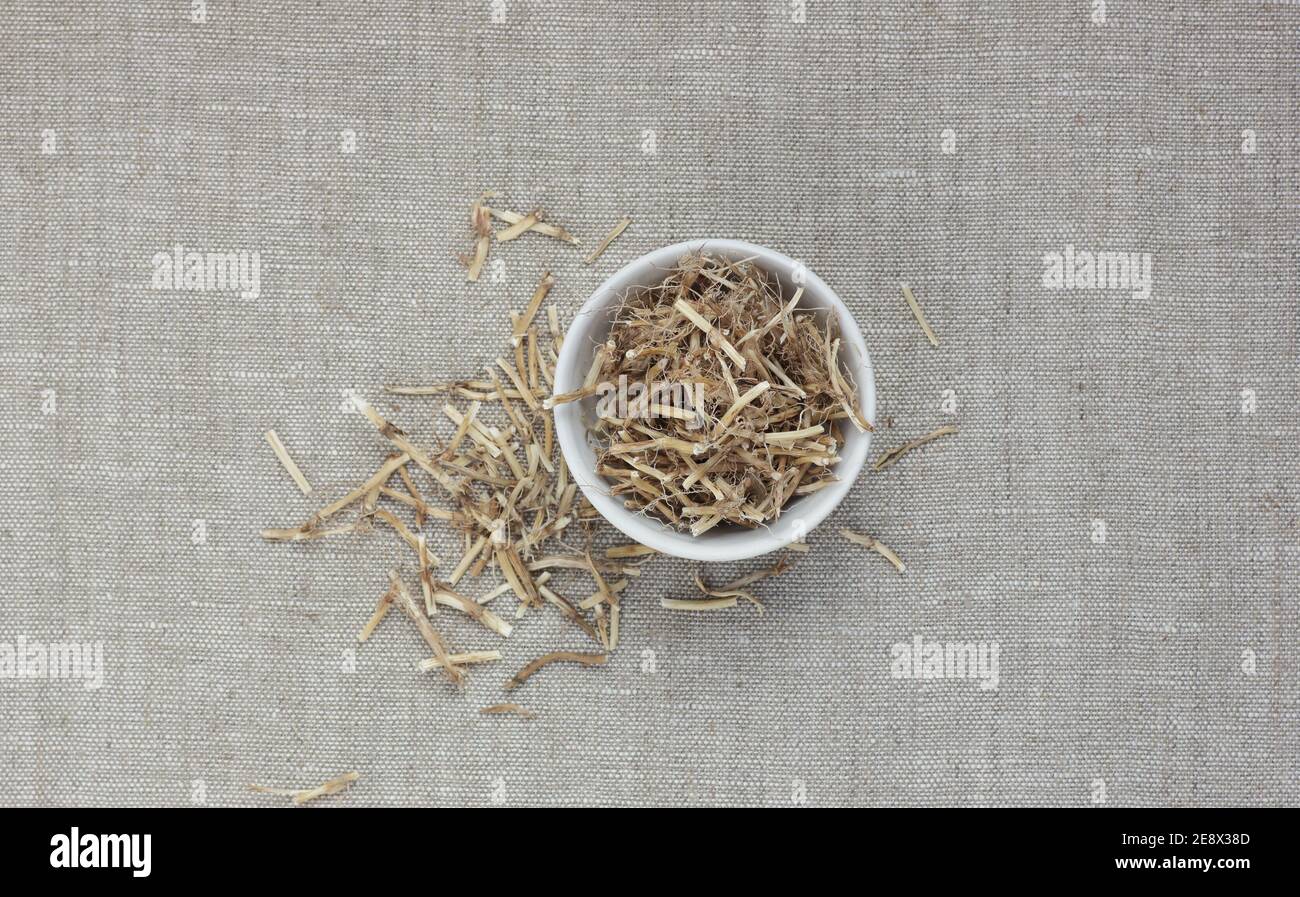 Couch-grass herbal roots in a bowl flat from above on linen textile ...