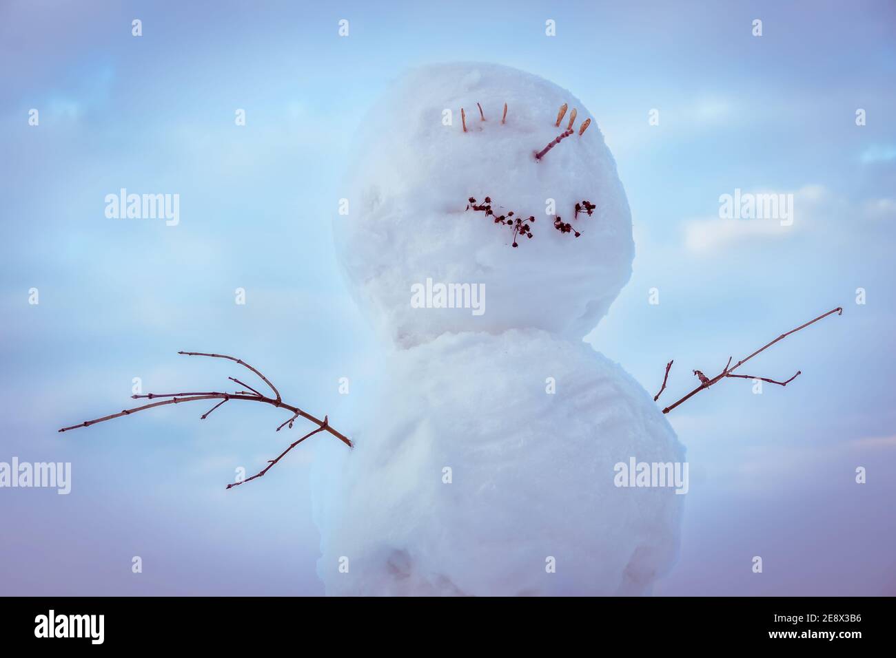 Head of a beautiful, happy snowman standing on the background of a blue ...