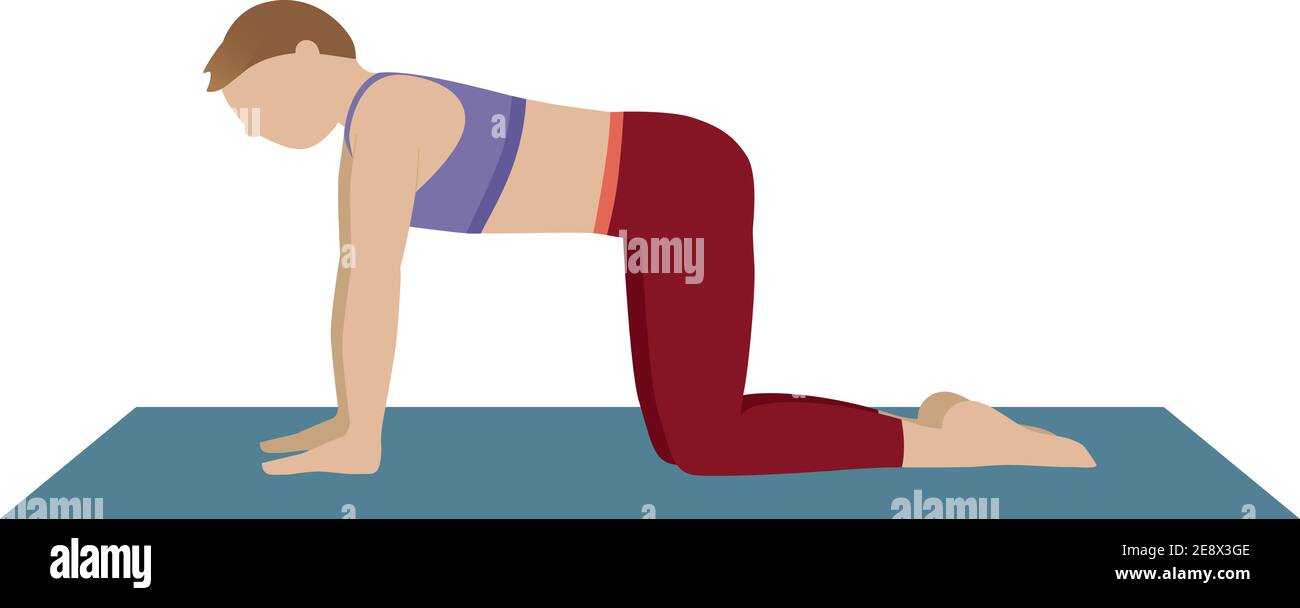 Woman in a individual session of floor exercise - illustration Stock ...