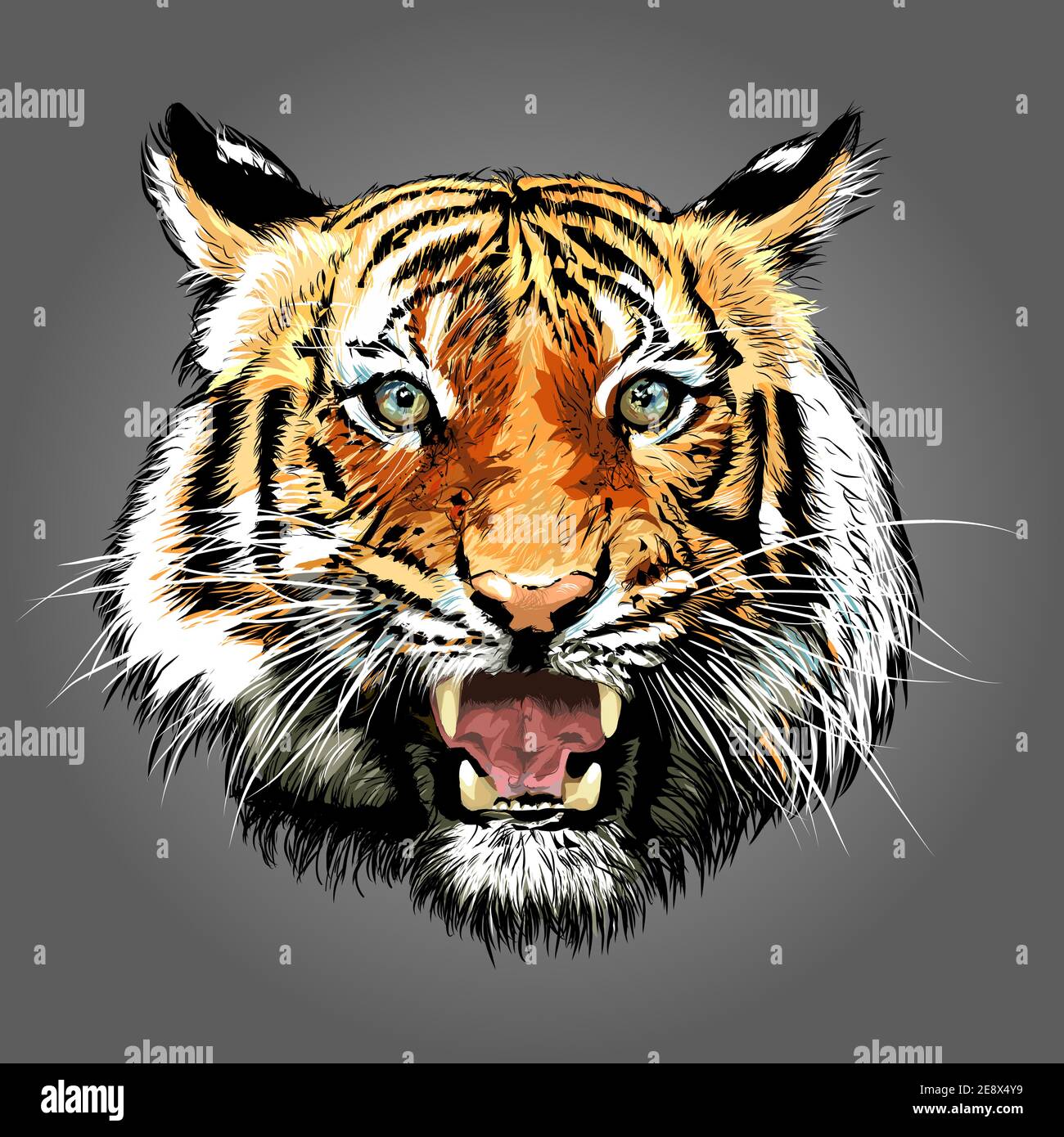 Tiger looking at camera, Tropical animal in asia.- vector illustration ...