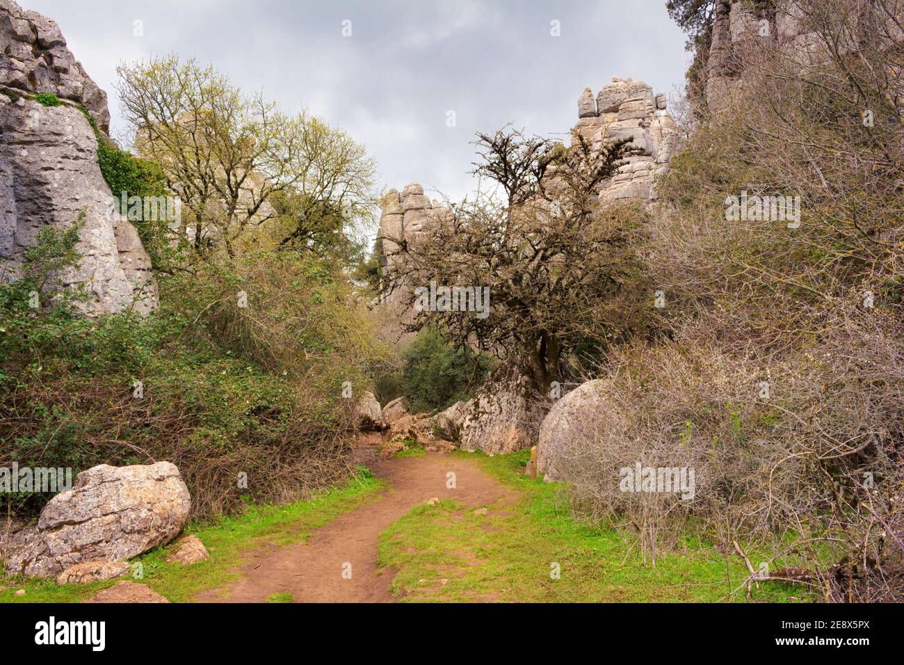 Limestone tower karst hi-res stock photography and images - Alamy