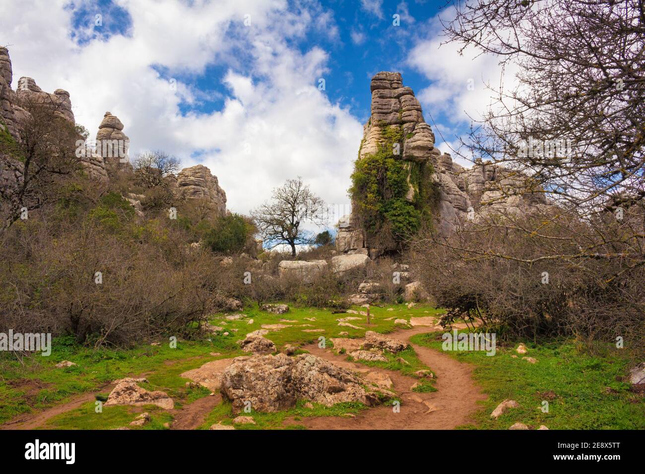 Labyrinth nature reserve hi-res stock photography and images - Alamy