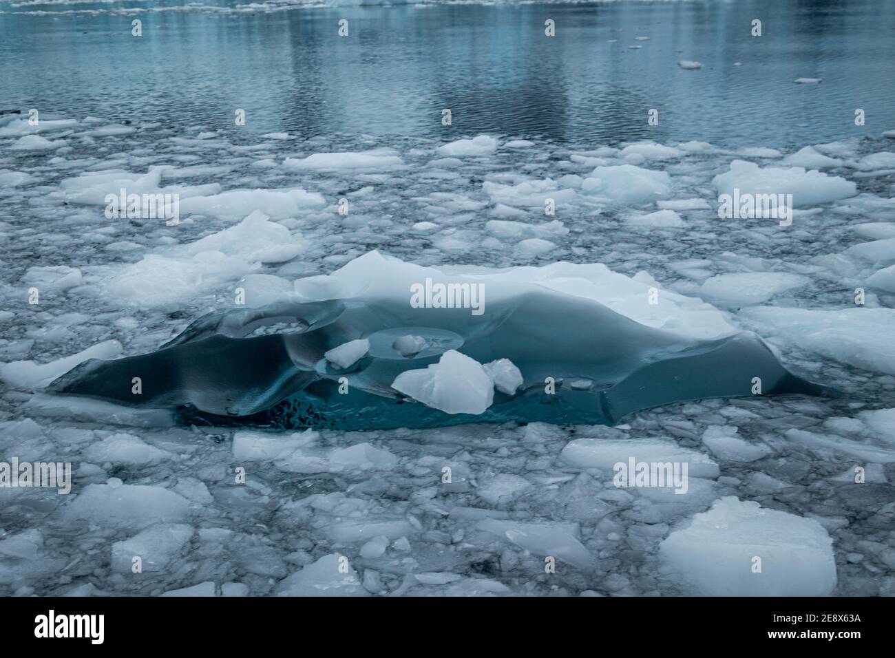 Close-up of sea ice at Paradise Harbour, Antarctica Stock Photo - Alamy