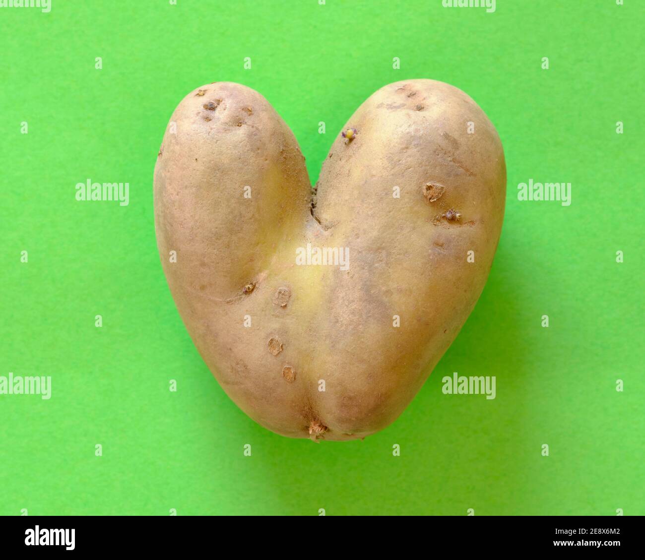 Odd shaped potato hi-res stock photography and images - Alamy
