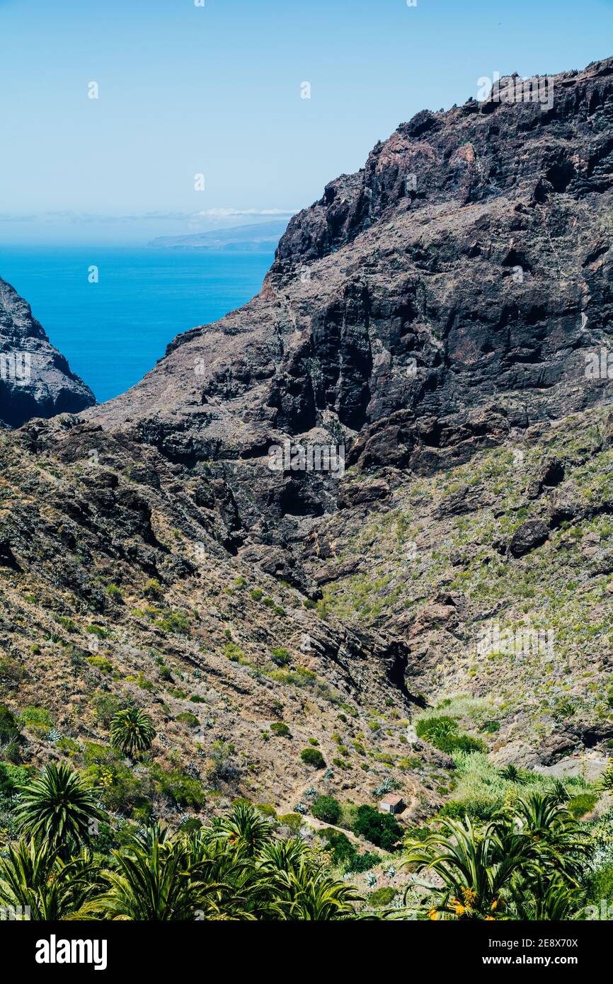 Vertical shot of rocky cliffs at Tenerife by the Atlantic Ocean in ...