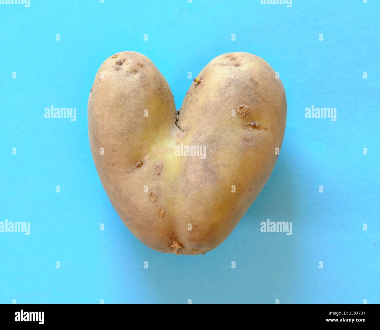 Misshapen vegetables hi-res stock photography and images - Alamy