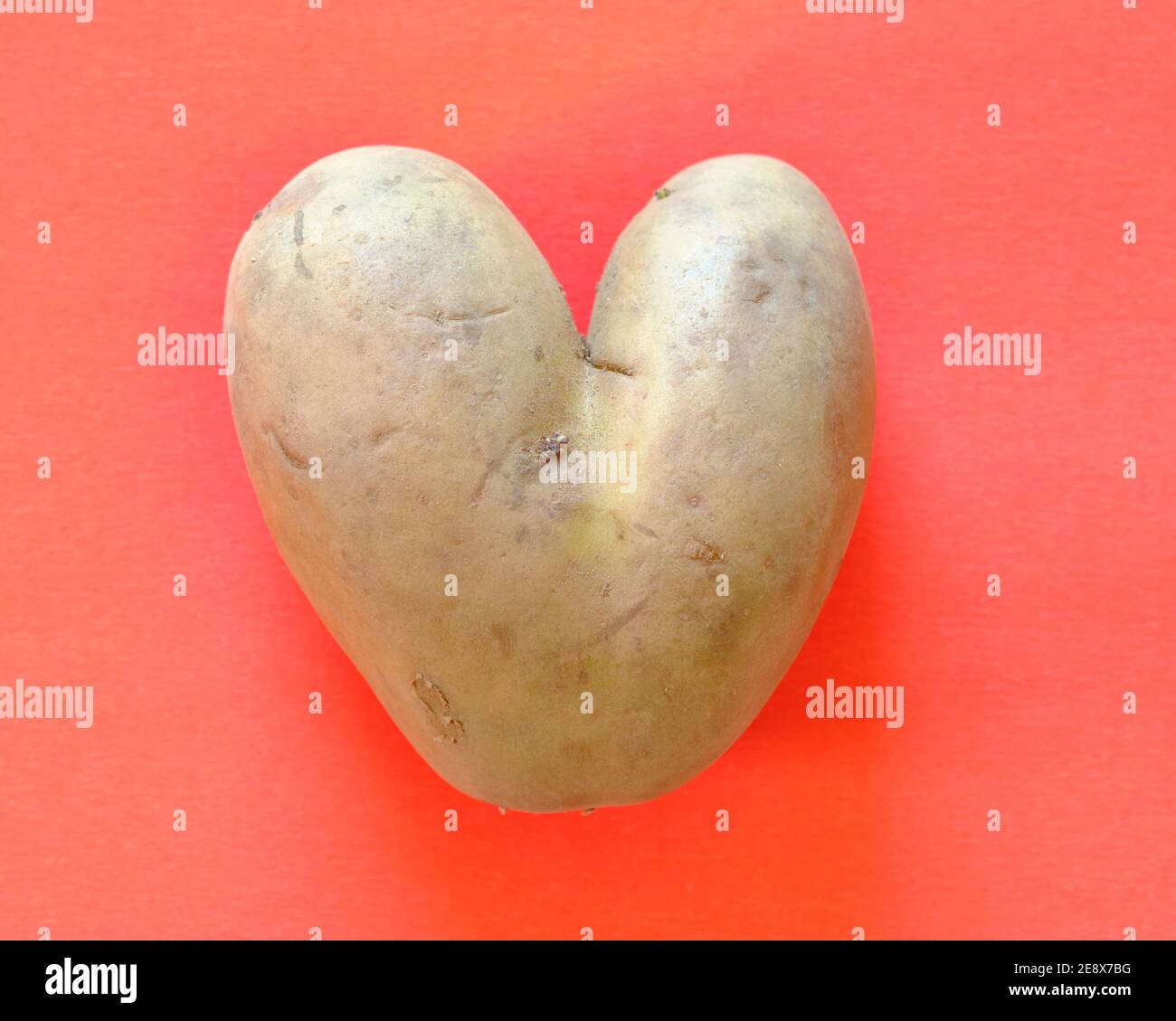 Misshapen Potato High Resolution Stock Photography and Images - Alamy