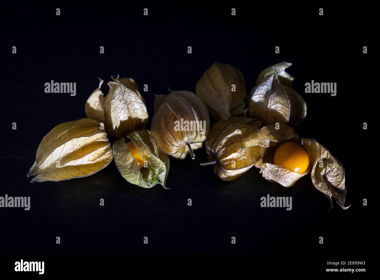 Physalis fruit hi-res stock photography and images - Alamy