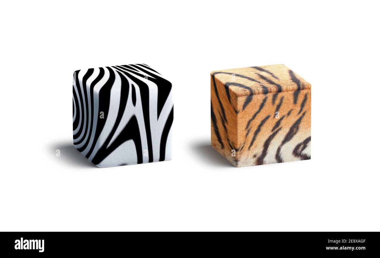 Blank zebra and tiger surface cube mockup set, 3d rendering. Empty ...