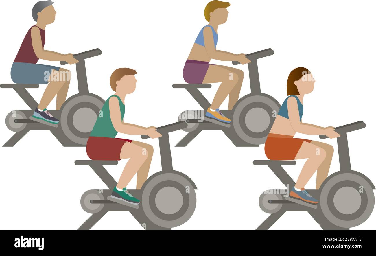 Group doing stationary bycicle exercises - illustration Stock Vector ...