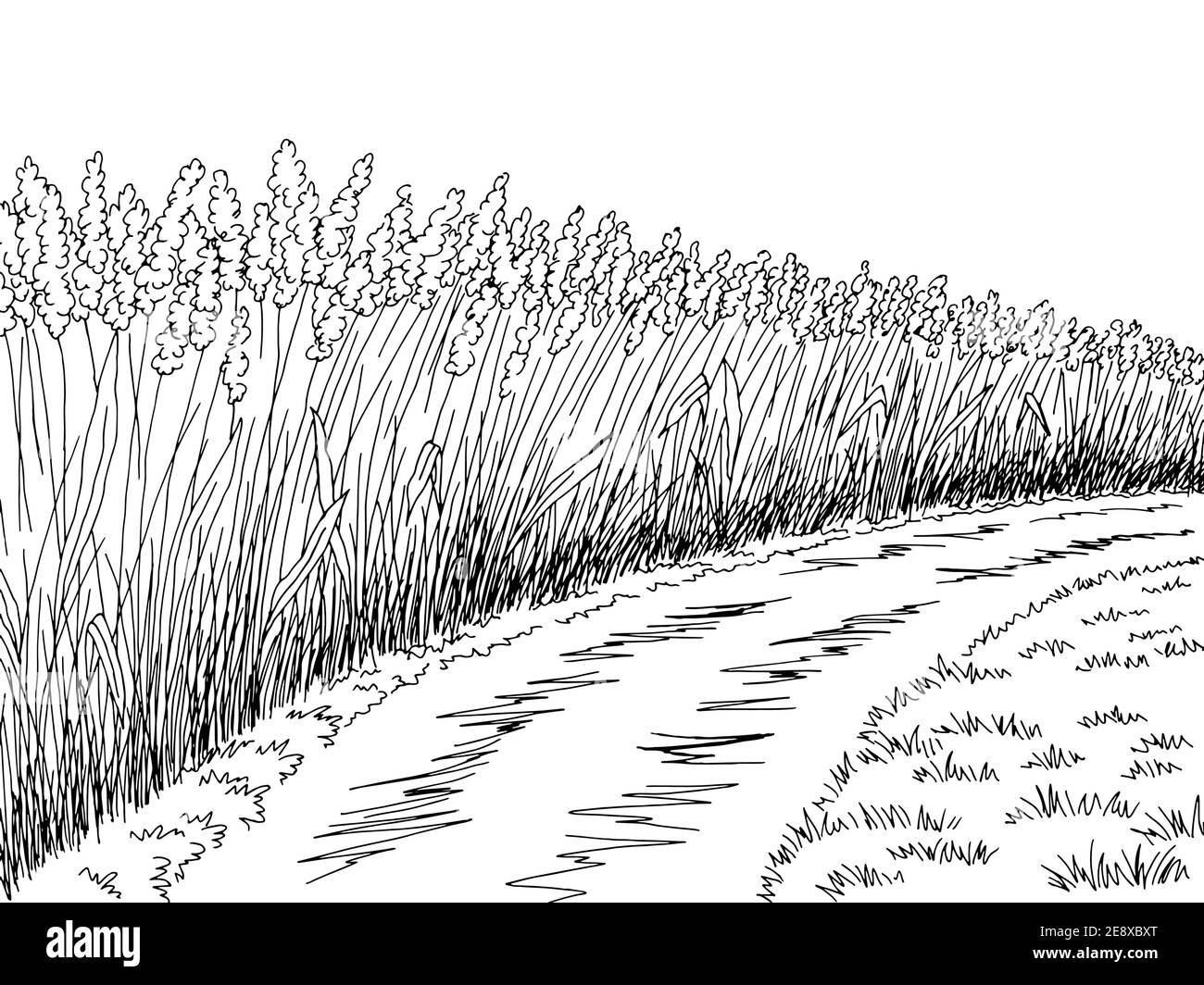 Field road graphic black white landscape sketch illustration vector ...