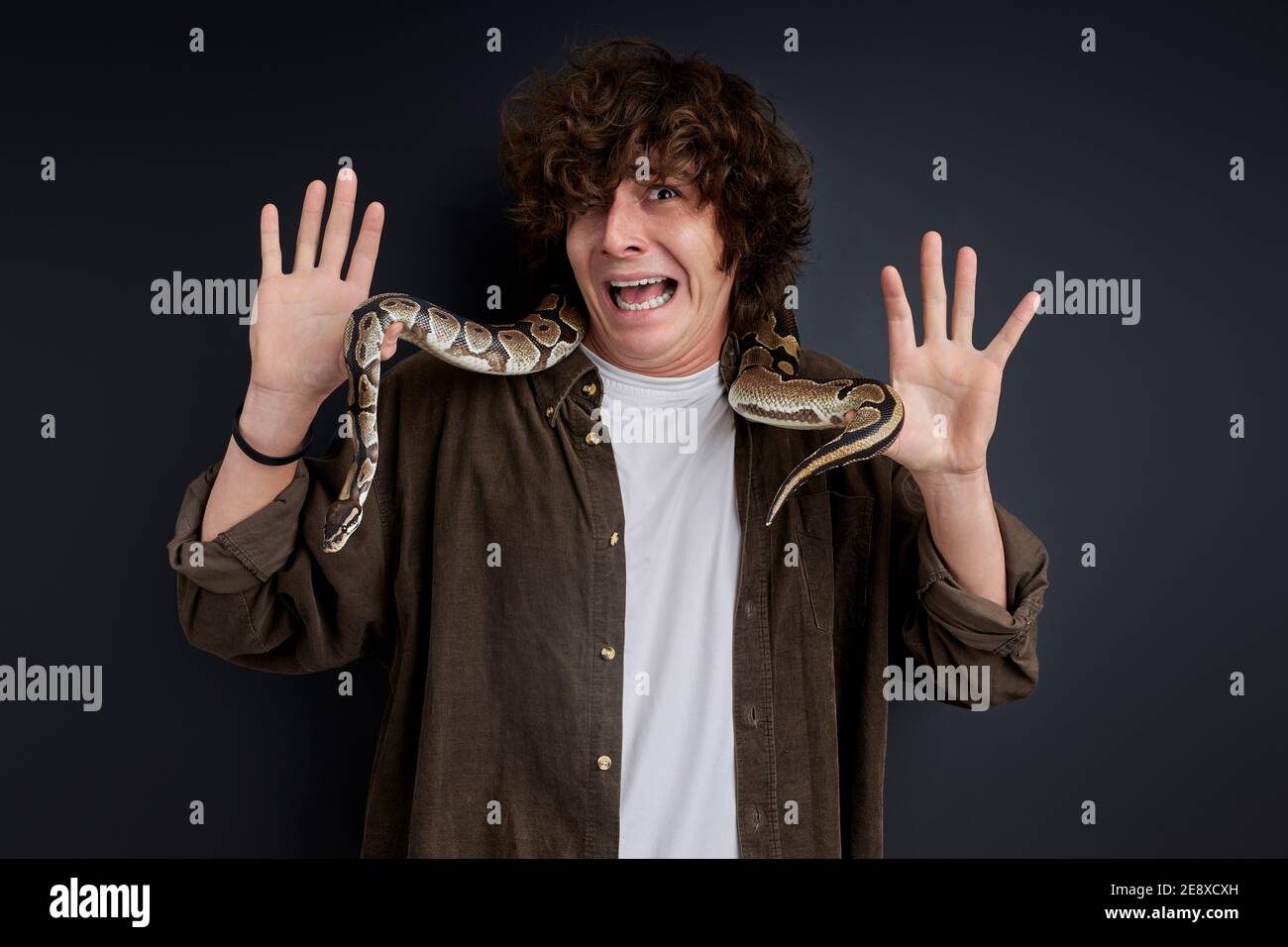 crying male is afraid of snake which wraps around his neck, stand ...