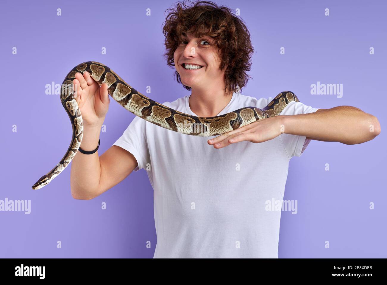 positive male holding snake in hands, doesn't afraid, no phobia ...