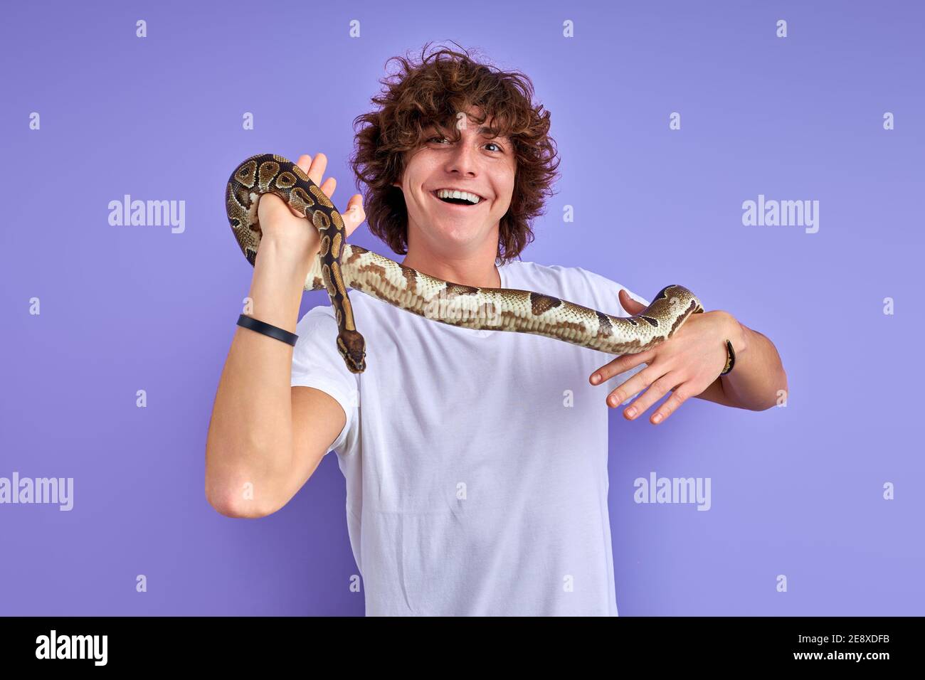 positive male holding snake in hands, doesn't afraid, no phobia ...