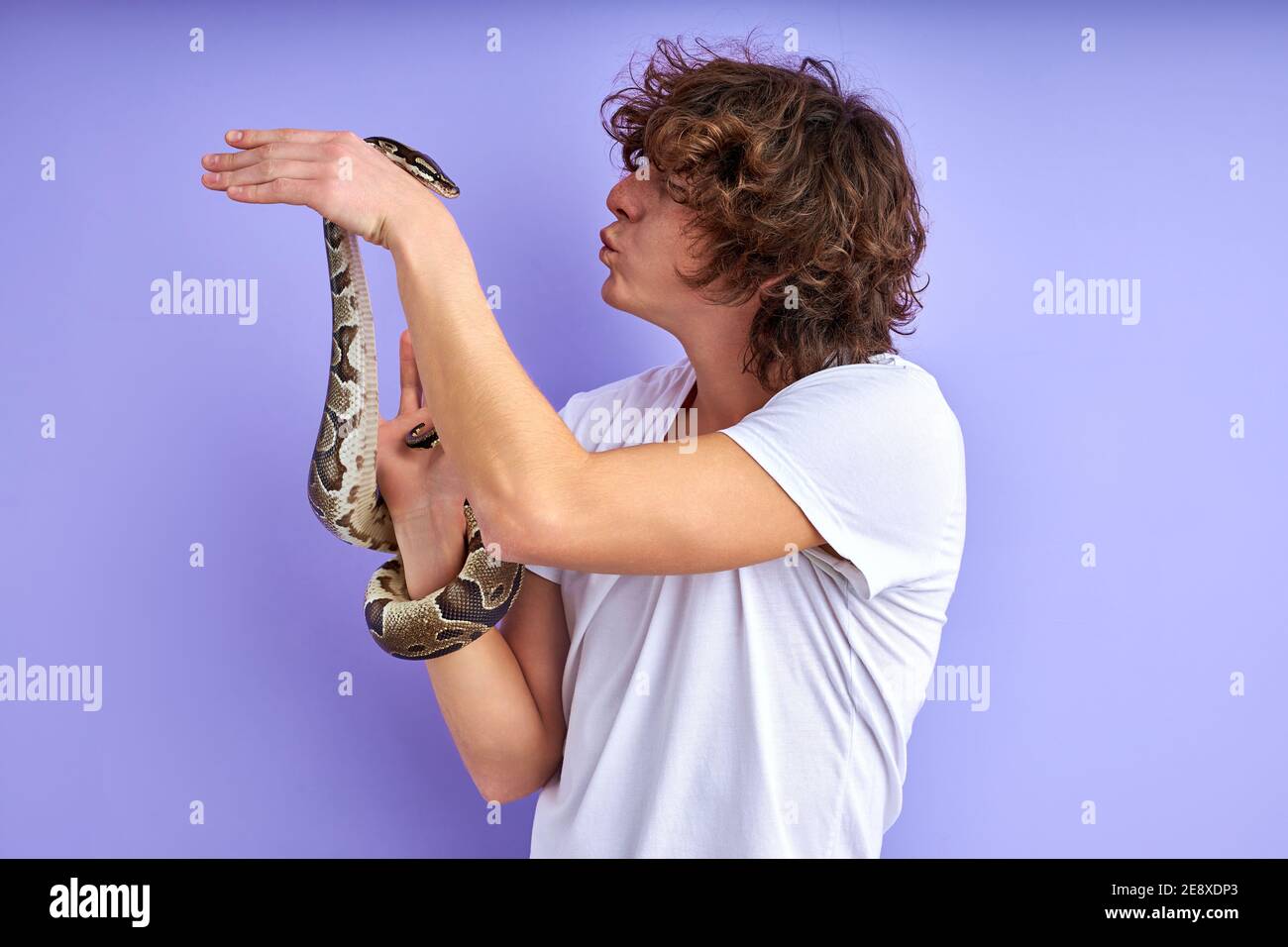 man training a snake and entertains, young caucasian guy playing with ...