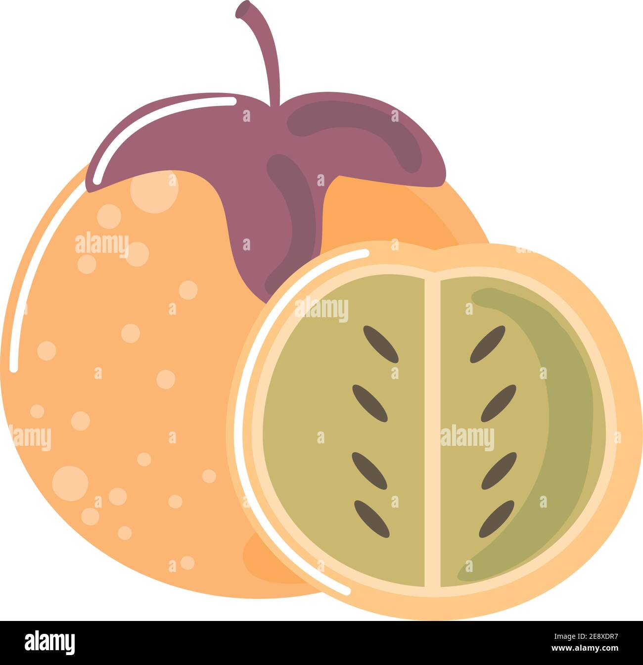 exotic fresh fruit icon isolated style vector illustration Stock Vector ...