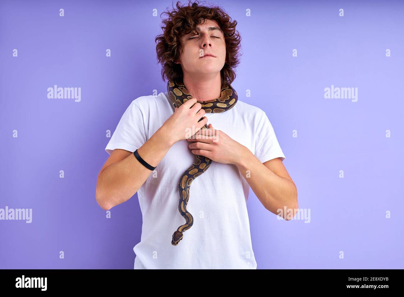 guy stand with snake on neck, he is brave, has no phobia. isolated ...
