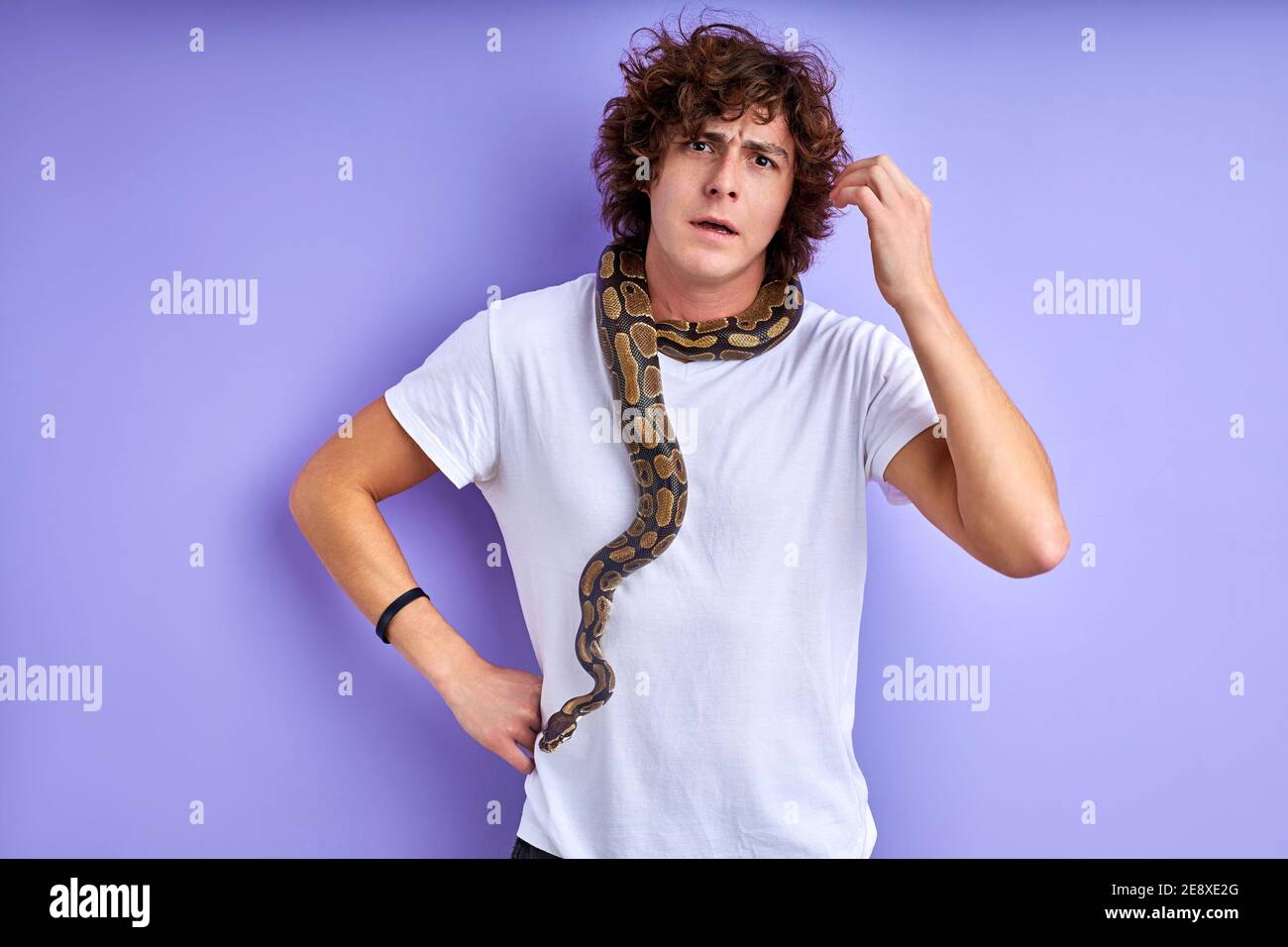 Scared person snake hi-res stock photography and images - Alamy