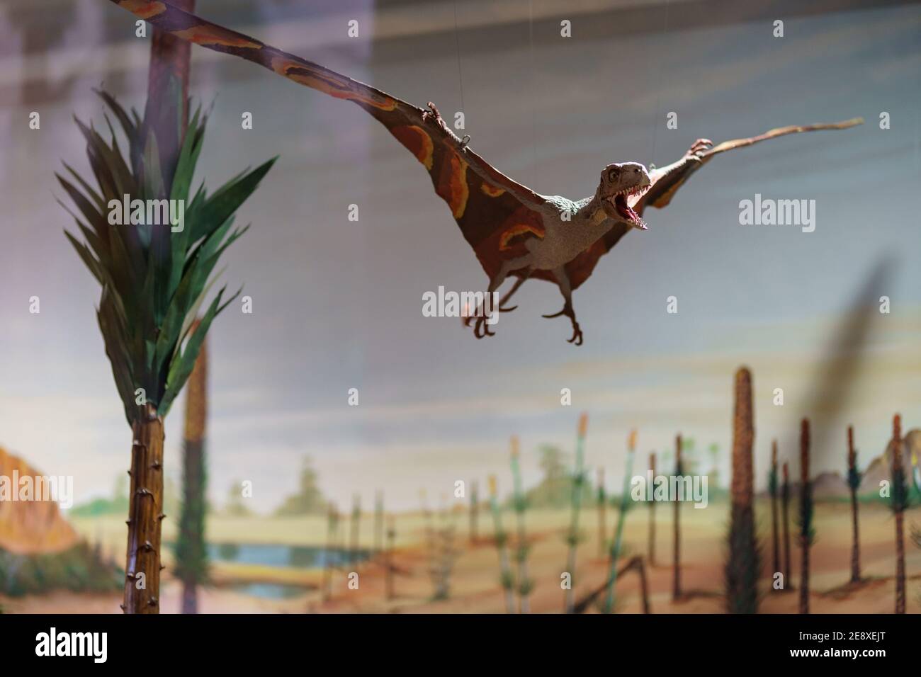 Pterodactyl prehistoric flying reptile photo Stock Photo - Alamy