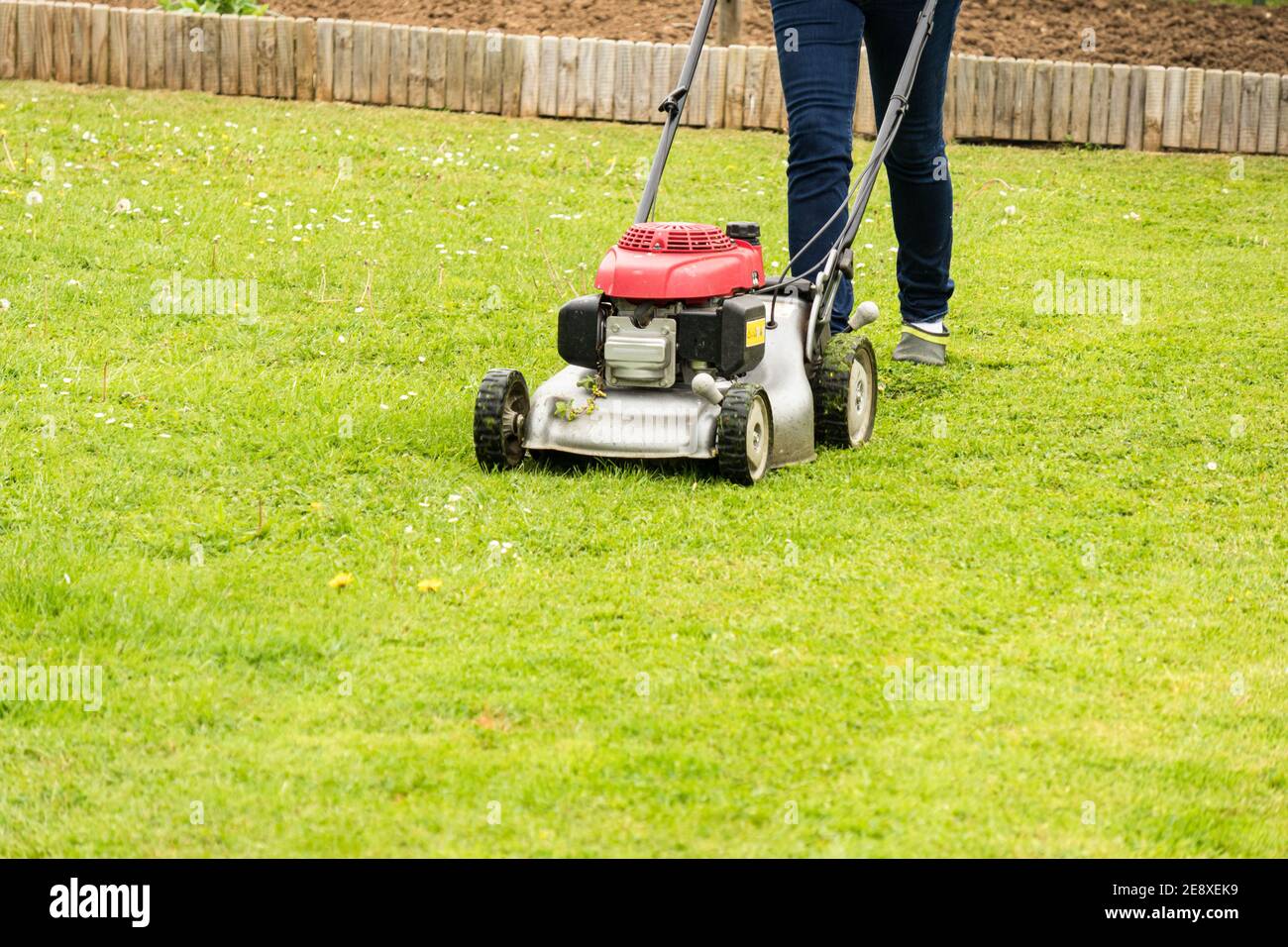 Woman pushing lawn mower hi-res stock photography and images - Alamy