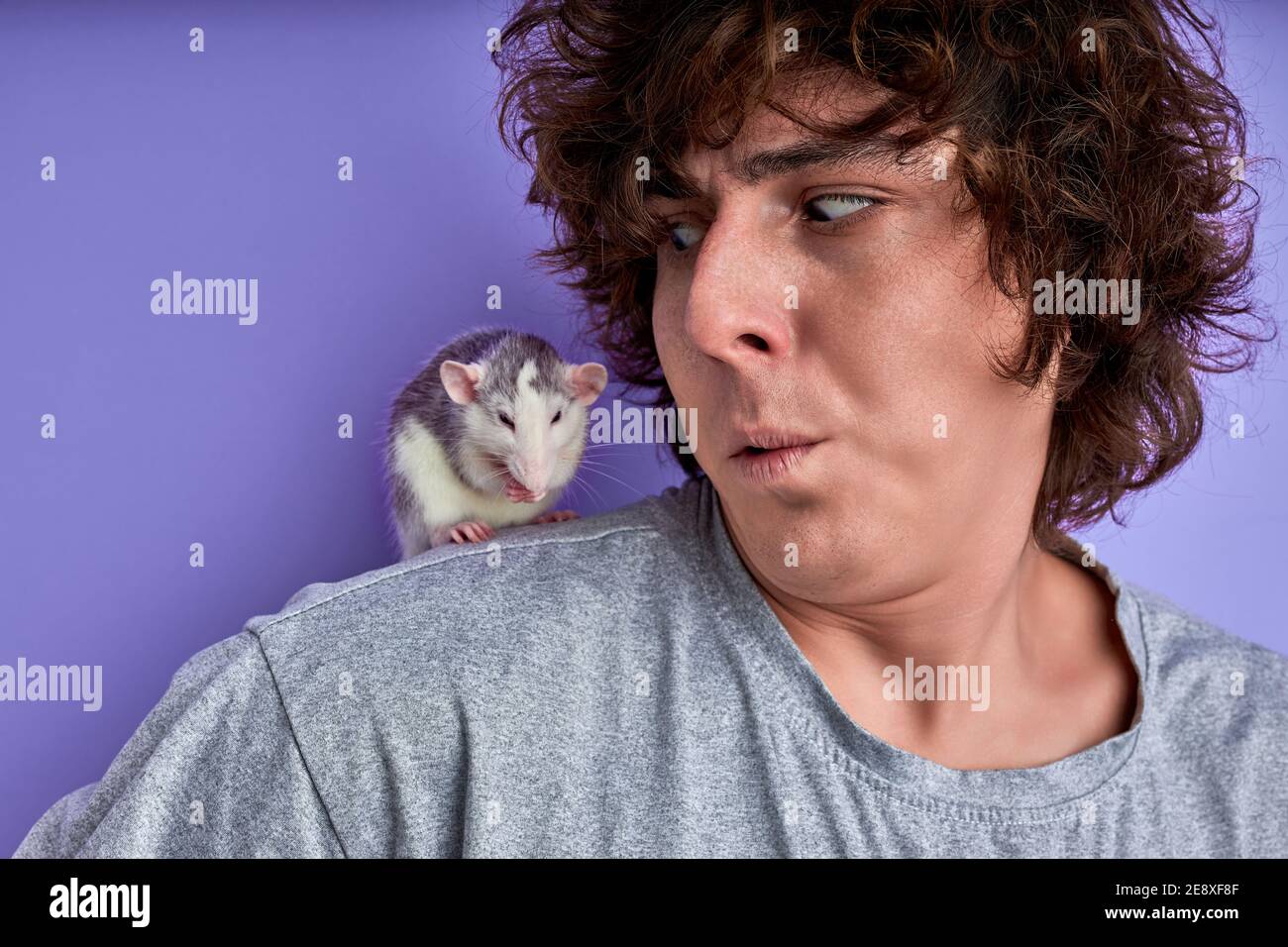 close-up portrait of rat sitting on male shoulder, curly caucasian guy ...
