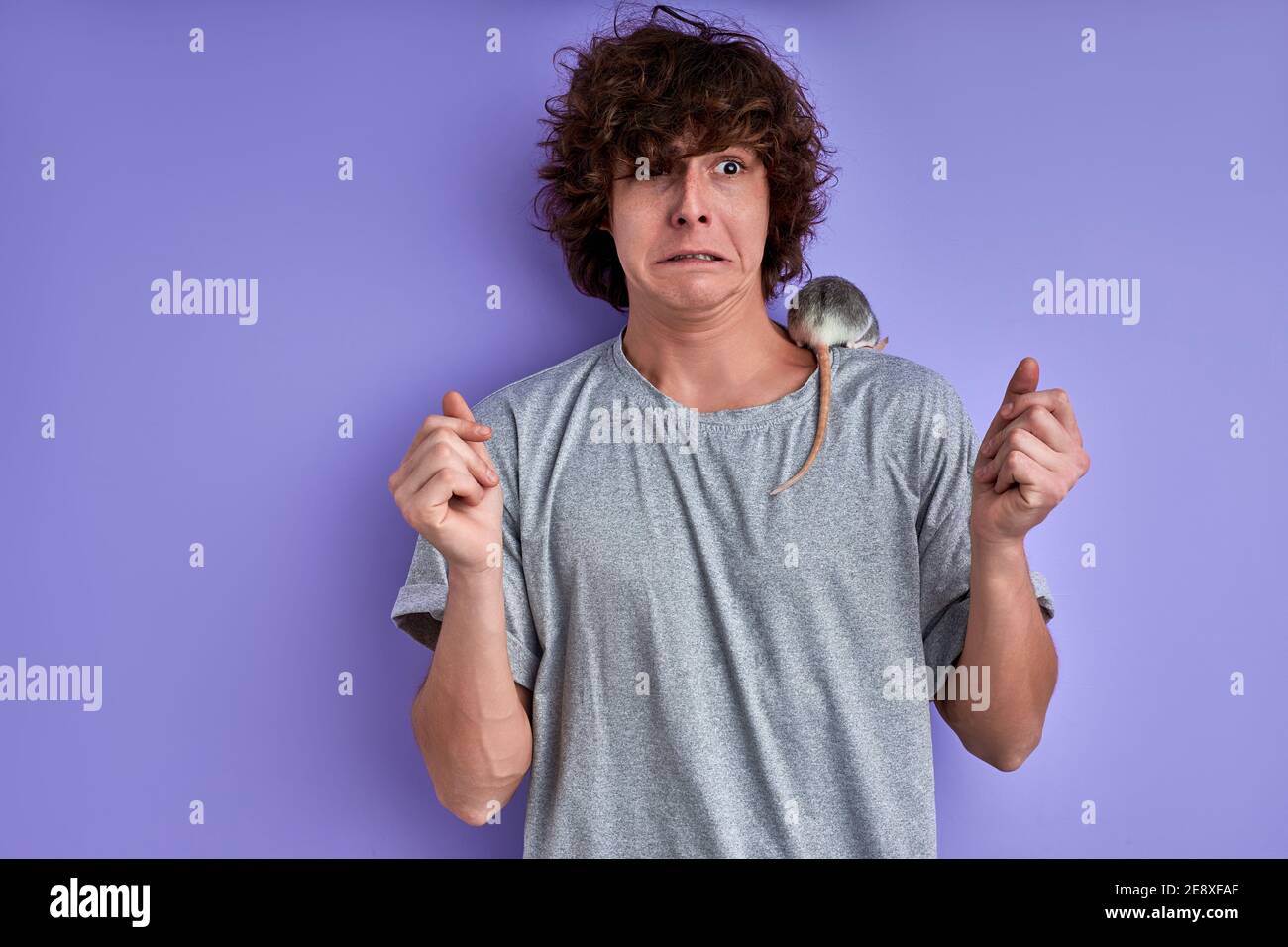 male with decorative rat on shoulders, young caucasian male makes funny ...