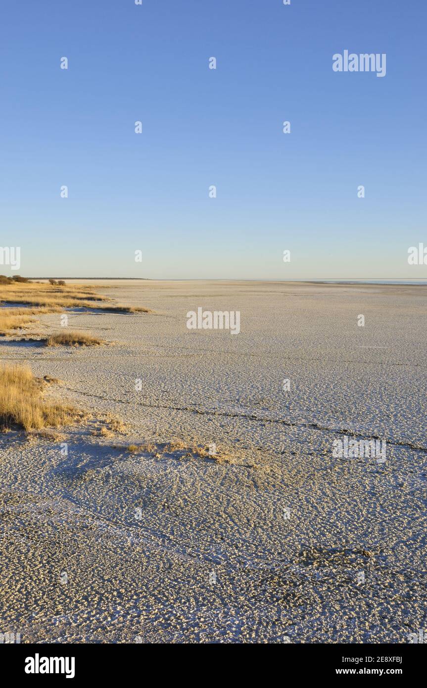 Saltpanel hi-res stock photography and images - Alamy