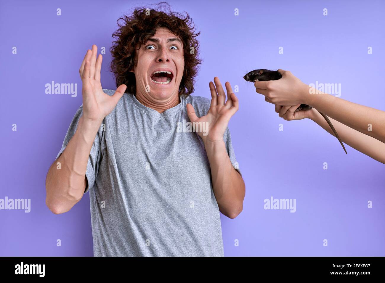Crying mouse hi-res stock photography and images - Alamy